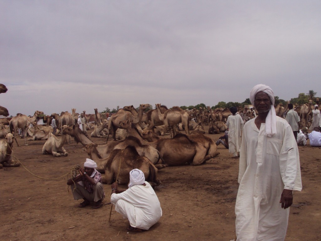Understanding trade and markets in a protracted conflict: the case of ...
